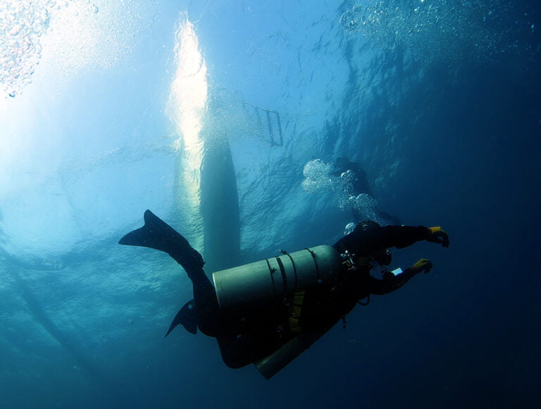 The Best Diving Spots in the Philippines