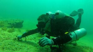 Advanced Wreck Diving: Ultimate Guide
