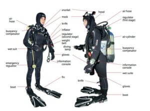 The Ultimate Beginners Guide to Starting Scuba Diving