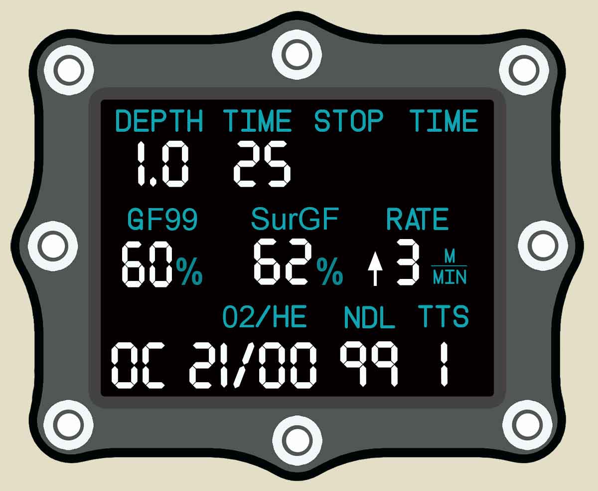 Shearwater Dive Computer Settings: Become A GF Power User!