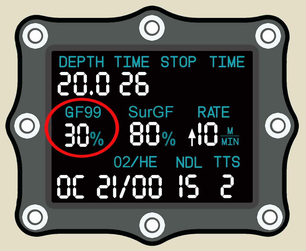 Shearwater Dive Computer Settings: Become A GF Power User!
