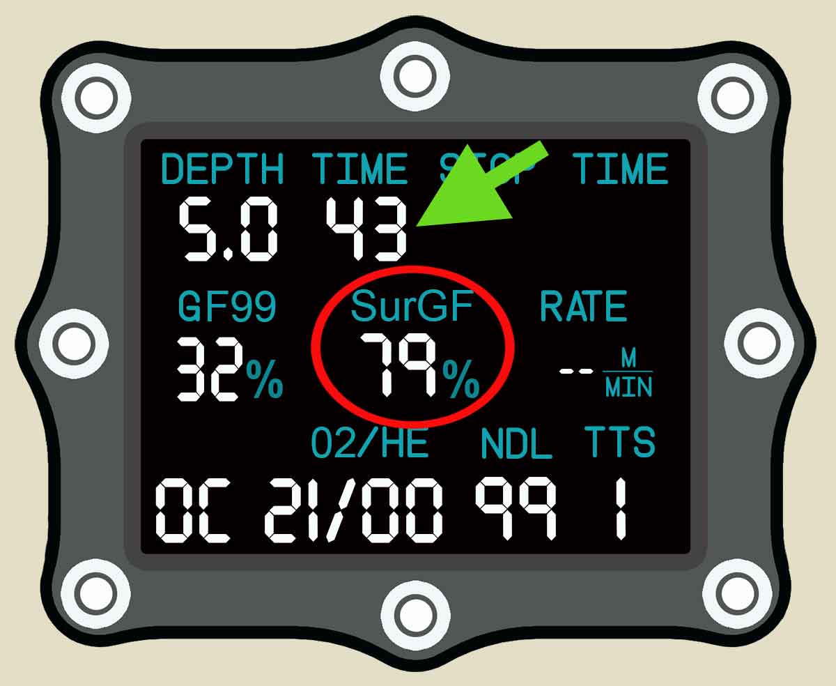 Shearwater Dive Computer Settings: Become A GF Power User!