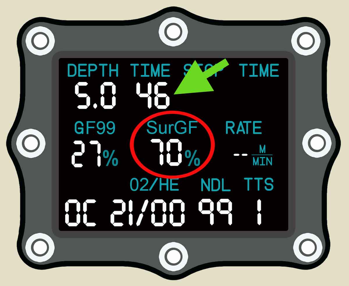 Shearwater Dive Computer Settings: Become A GF Power User!