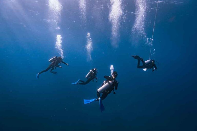 Tropical And Cold Water Diving: What Are Differences?
