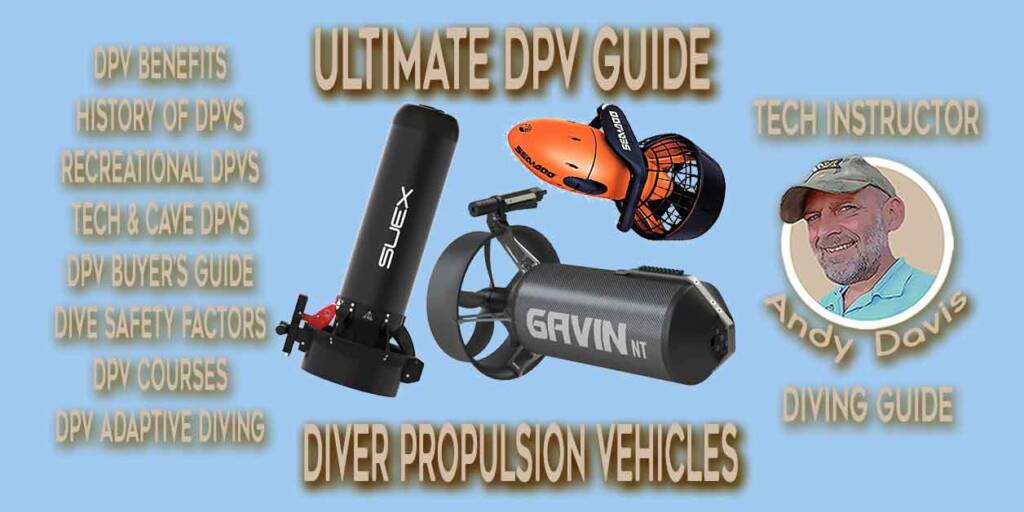 The Pro Guide To Scuba Diving Suits