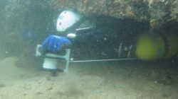 Advanced Wreck Diving: Ultimate Guide